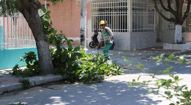 Dadsa abre investigación preliminar a la empresa Atesa por poda sin ...