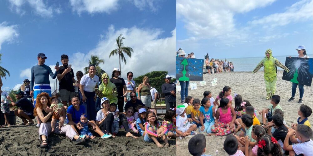 Corpamag, Fundación CIM Caribe y Centro de Vida Marino, liberaron 70 tortugas en Playas de ...