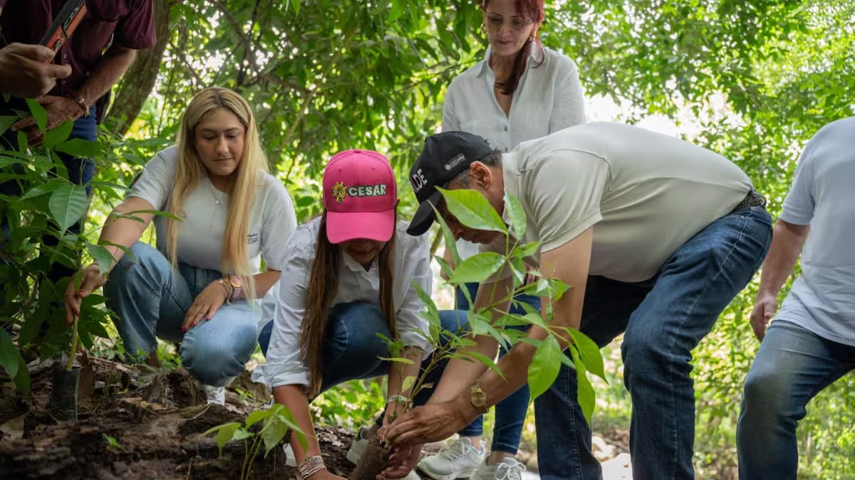 Firman alianza para conservar la cuenca del río Manaure en el Cesar a ...